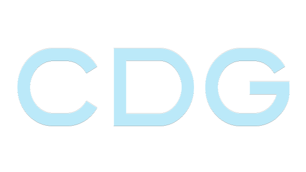 CDG SYSTEMS – Integrate new technology with existing systems with one-stop service